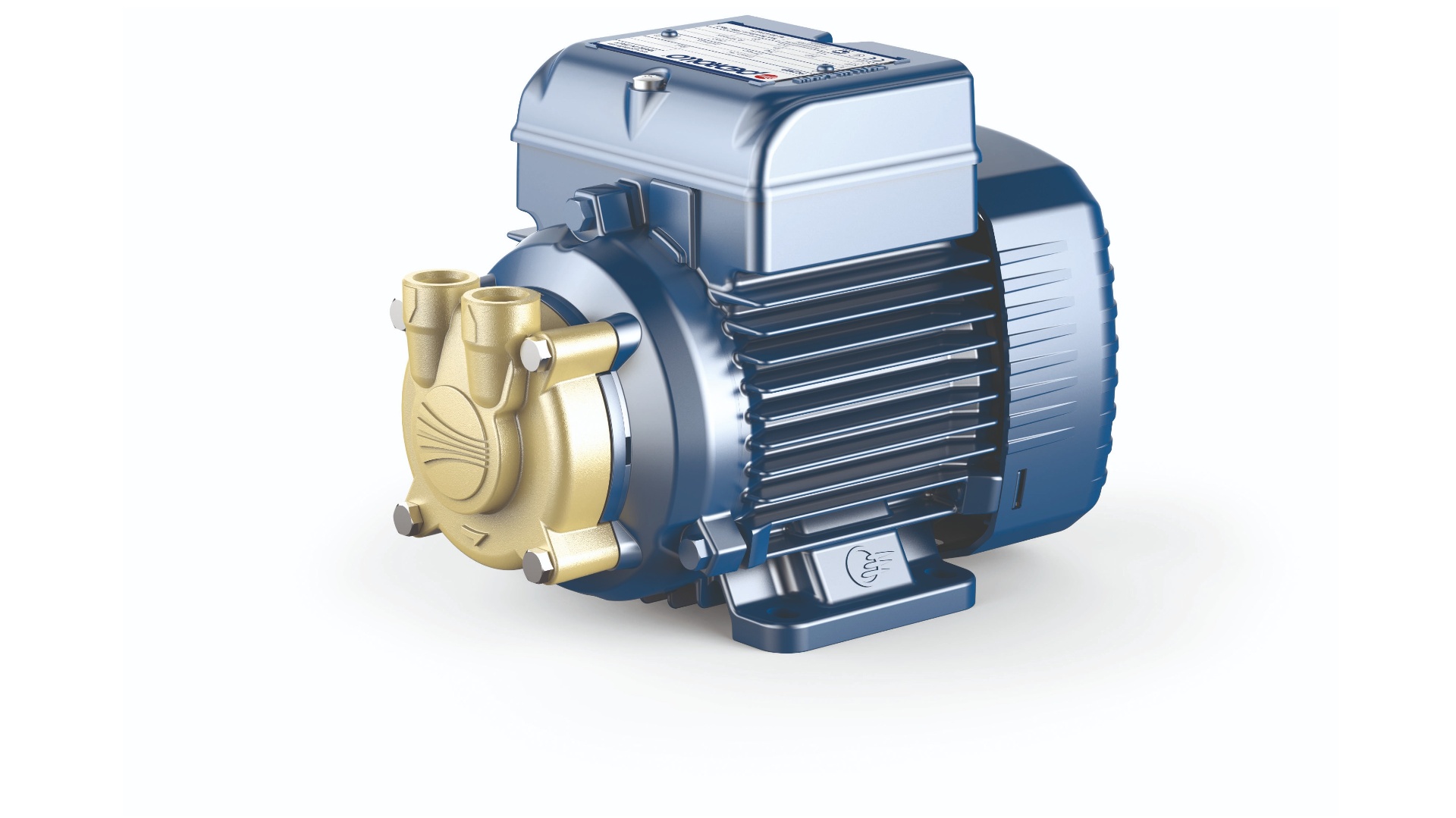 Peripheral pump PV with brass body – Pumps & Valves Dortmund