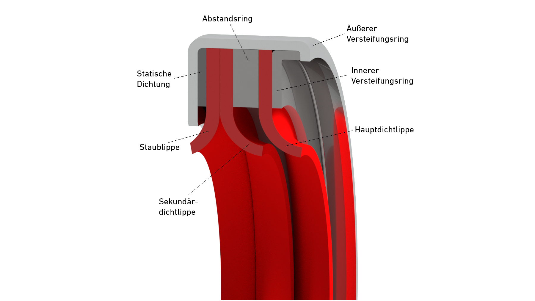 Oil Seal Type RR – Pumps & Valves Dortmund