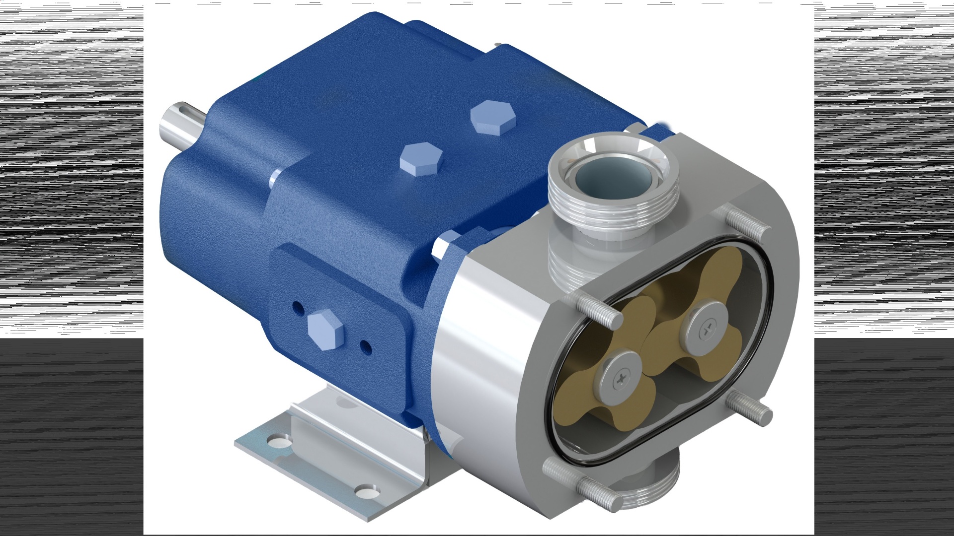 Lobe Pumps L – Pumps & Valves Dortmund