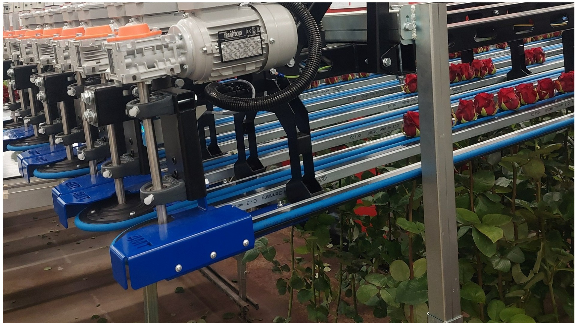 Products - HortiContact