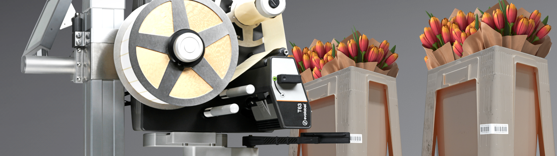 Codipack Group – HortiContact