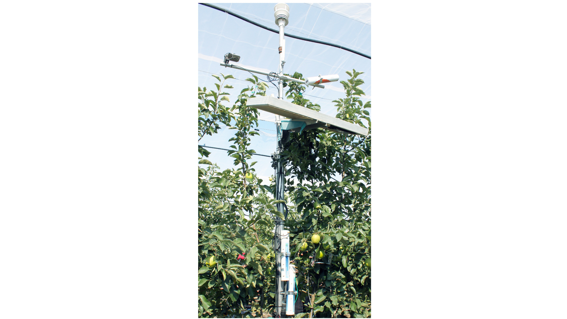 SapIP-SMART Orchard System – HortiContact