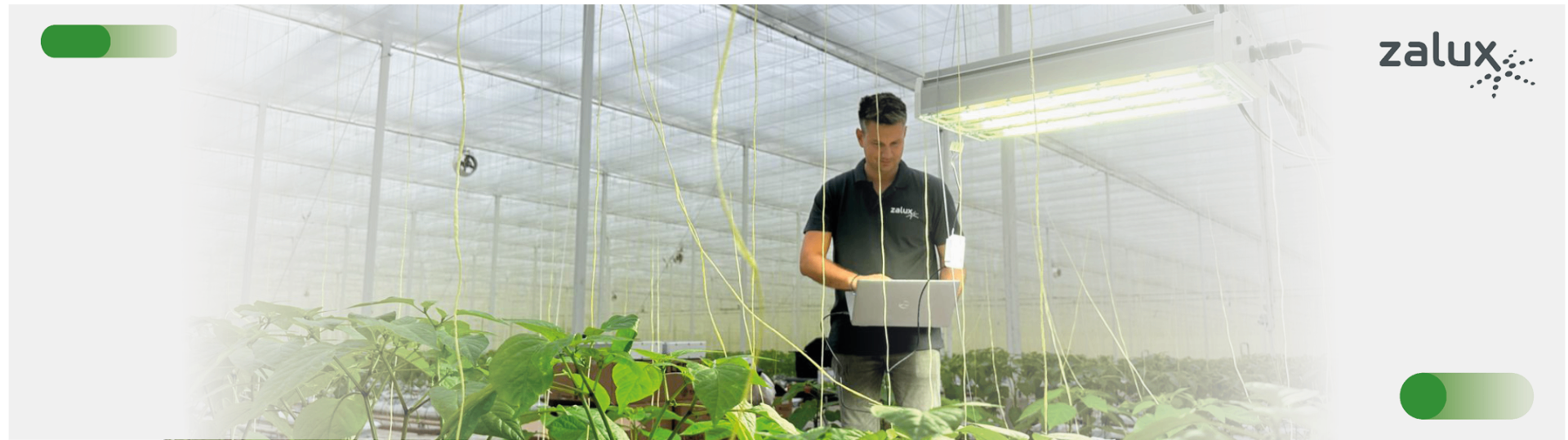 ZALUX, S.A. – HortiContact