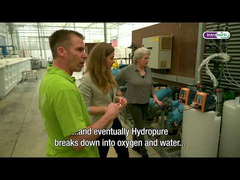Intra Hydropure – HortiContact