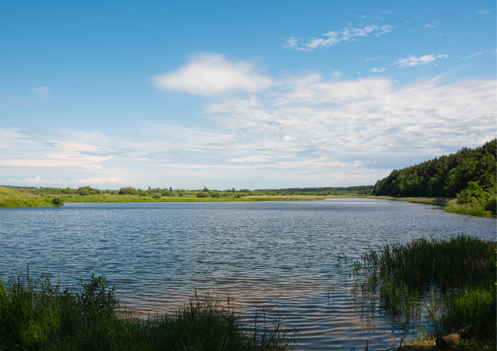 Waternet zet innovatief brakwaterproject in om drinkwaterproductie te ...