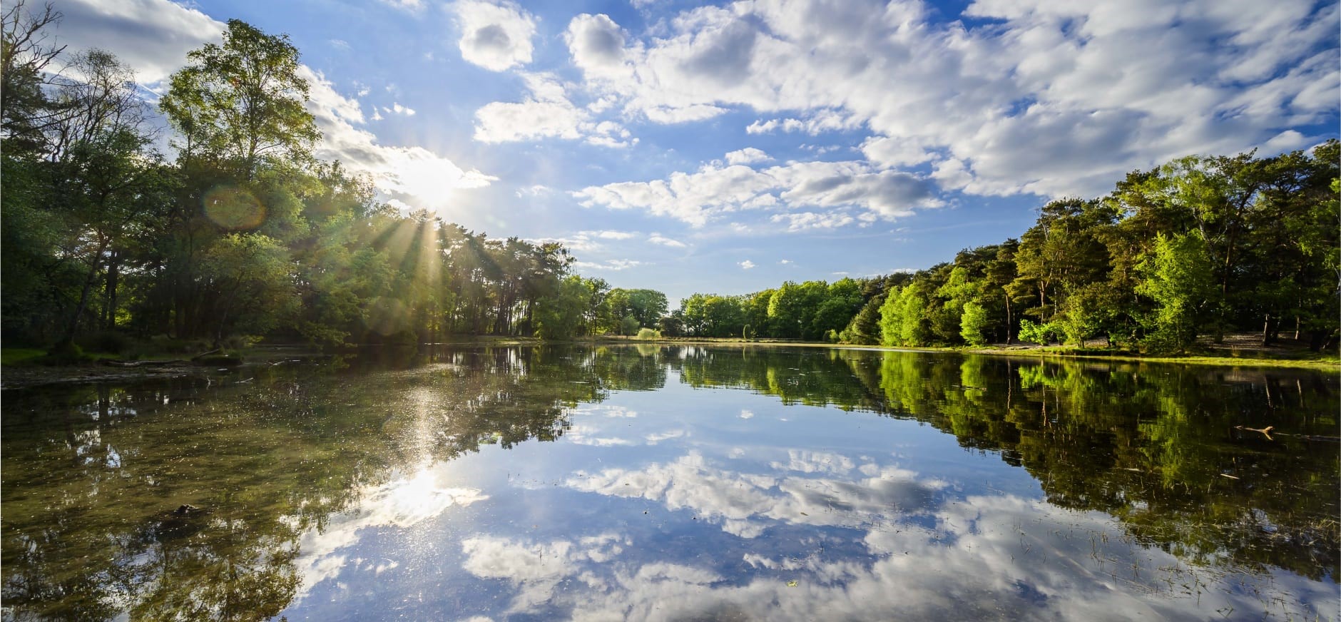Schoner water: EU zet grote stap met nieuwe afvalwaterrichtlijn - Aqua ...