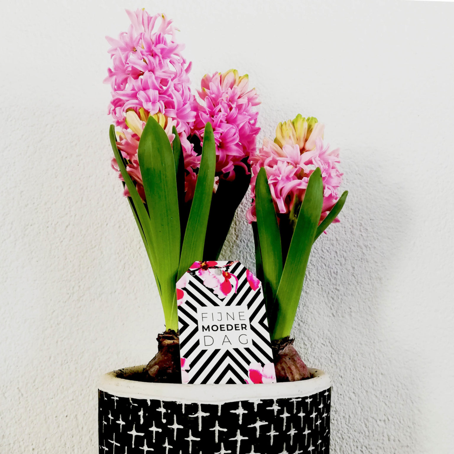 Uitgelicht | Paper Art