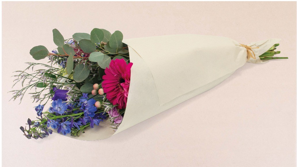 Paperwise Rolls & Sheets – Trendz-vakbeurzen