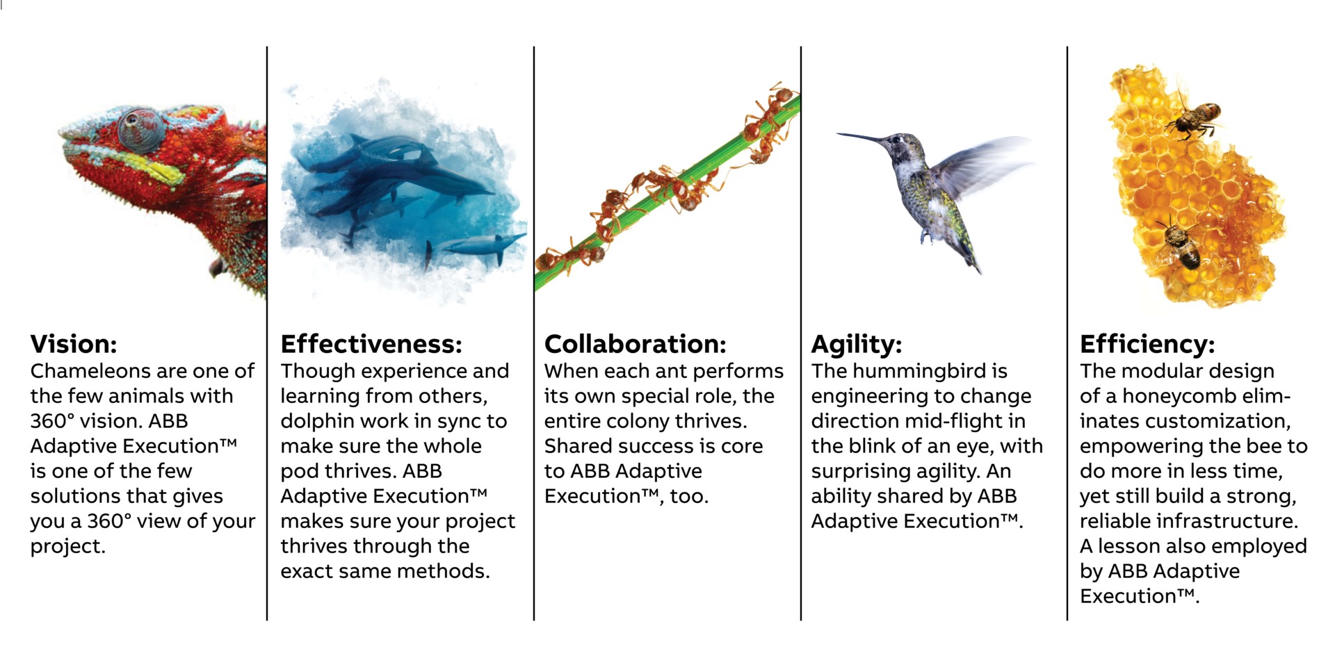 Adaptive execution™ un nuevo y ágil método de ejecución de proyectos ...