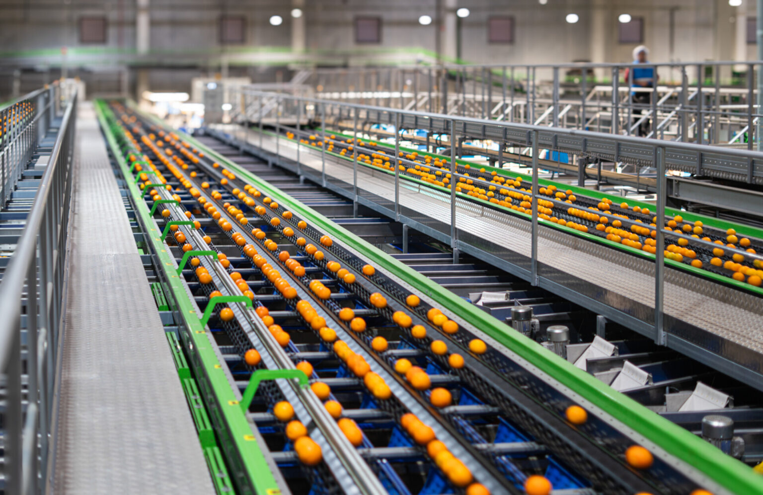 Bollo: el gran envoltorio conceptual de un grupo con visión