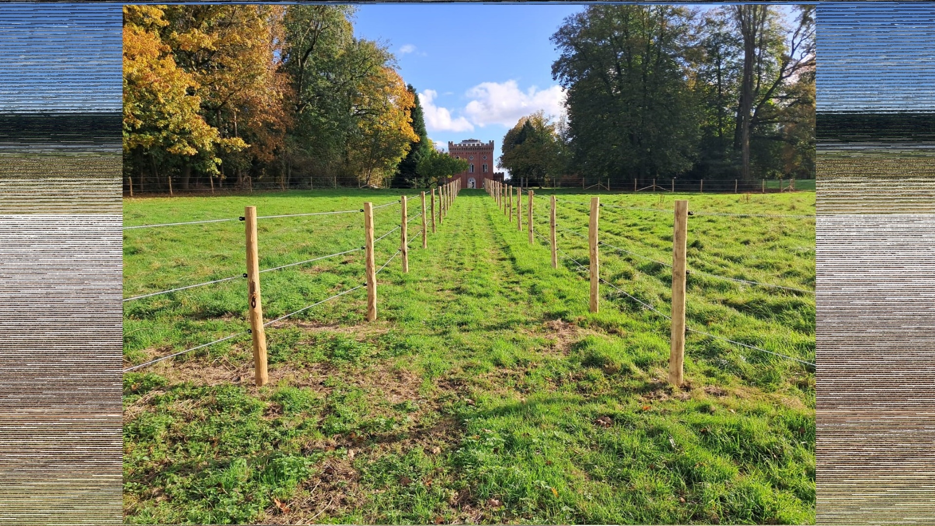 Electrification – Bois et Habitat