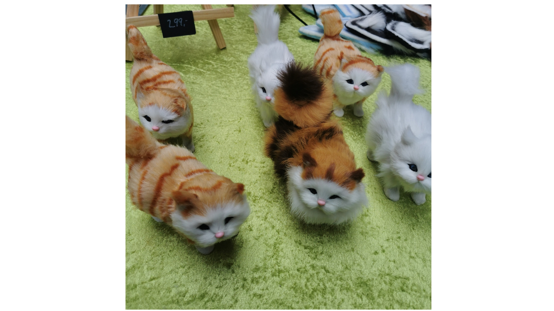 Sweets cats – Comic Con Stockholm