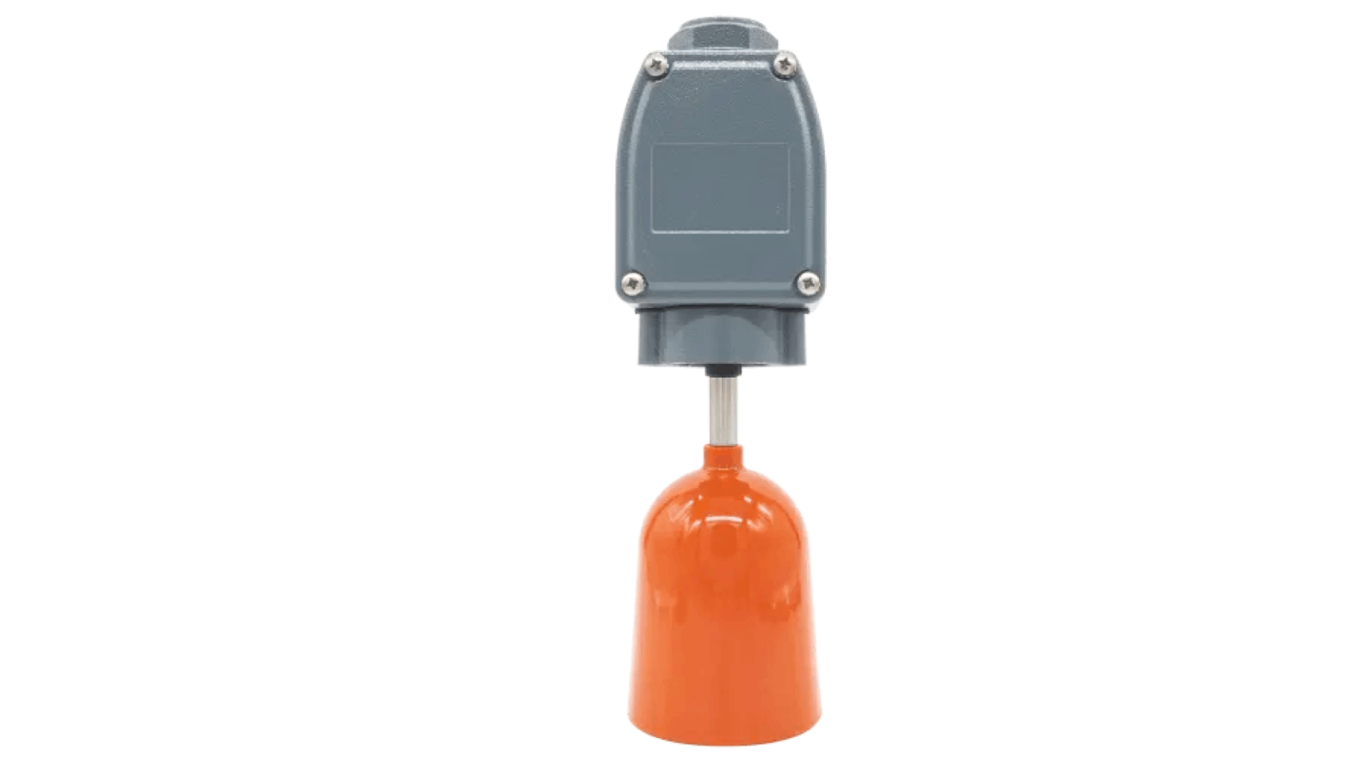 ILP3 – Pendulum level indicator – SOLIDS Parma 2020