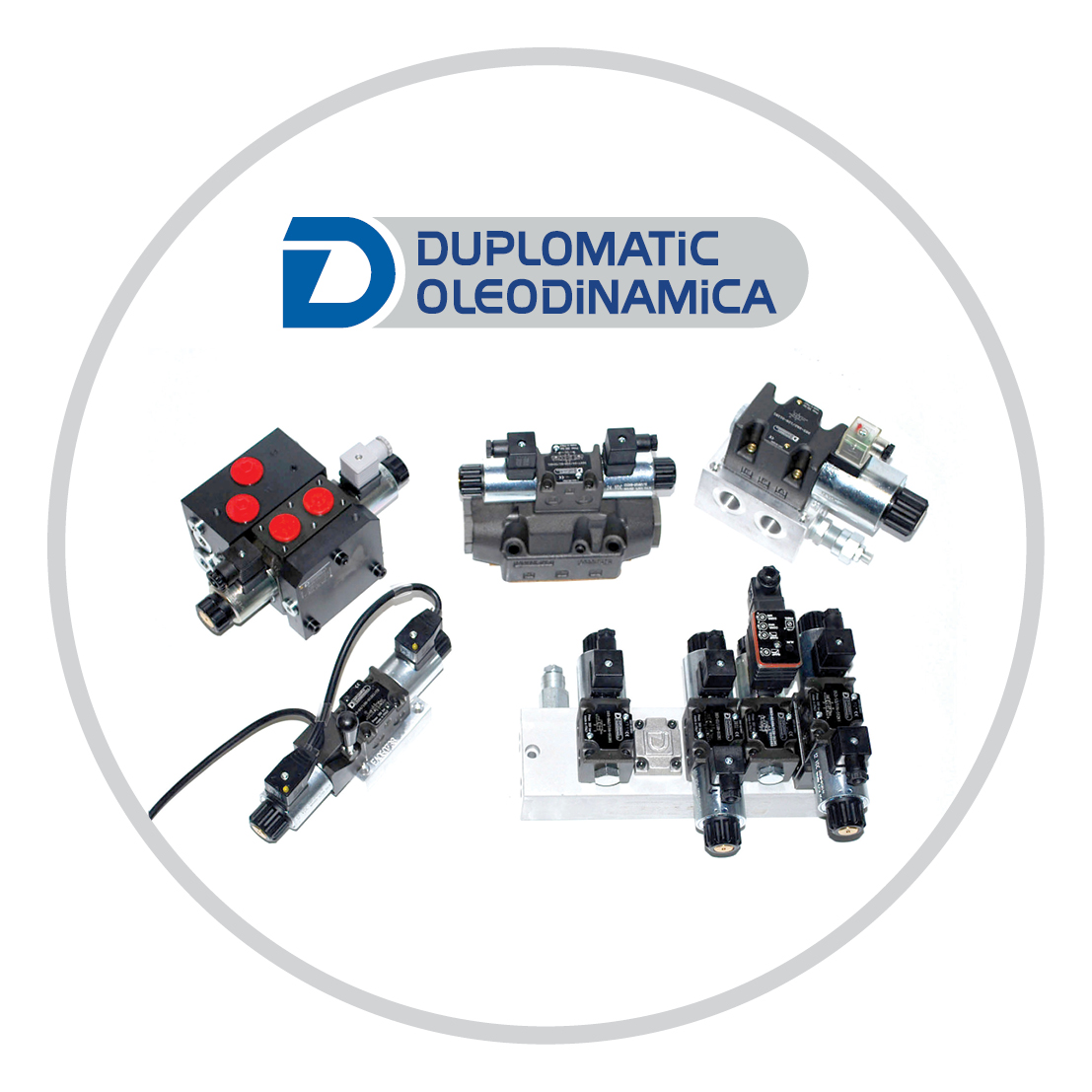 DUPLOMATIC OLEODINAMICA – Industrie & Maintenance