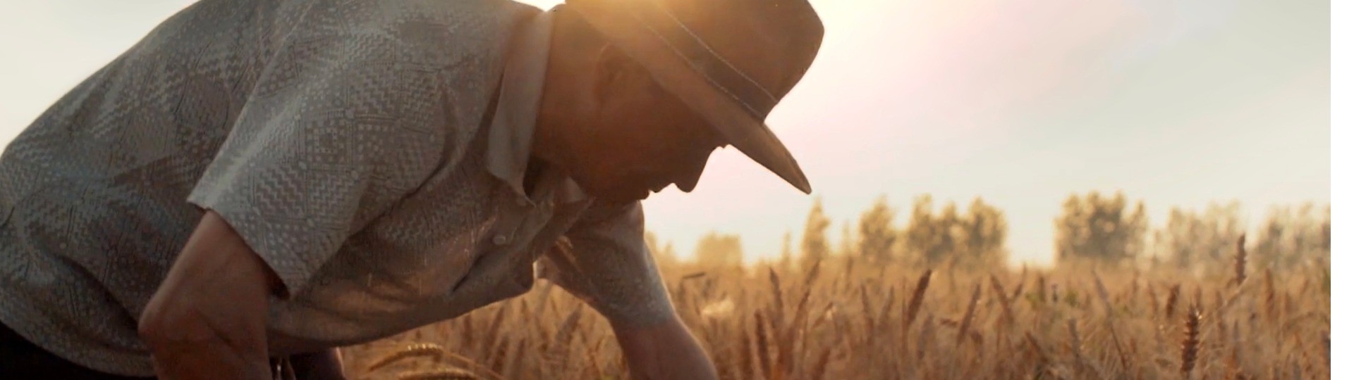 Nefab Packaging Belgium – Transport & Logistics