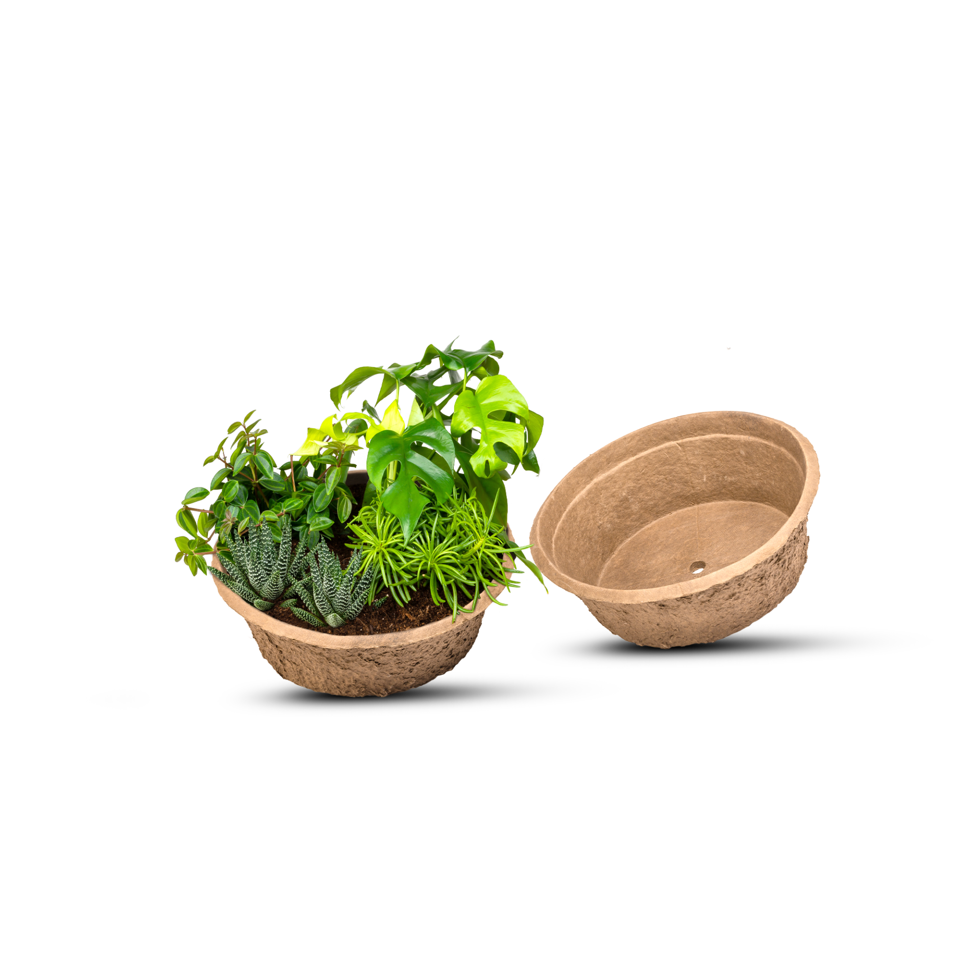 Pulp-Tec GmbH & Co KG – EMPACK Messe DE