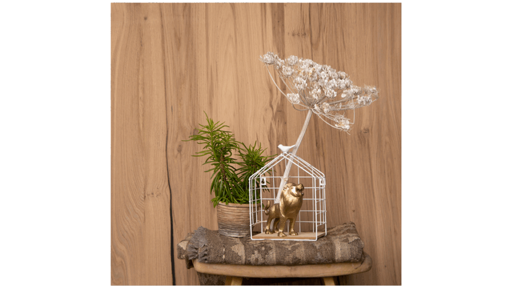 Alldeco – Huis en Woonbeurs