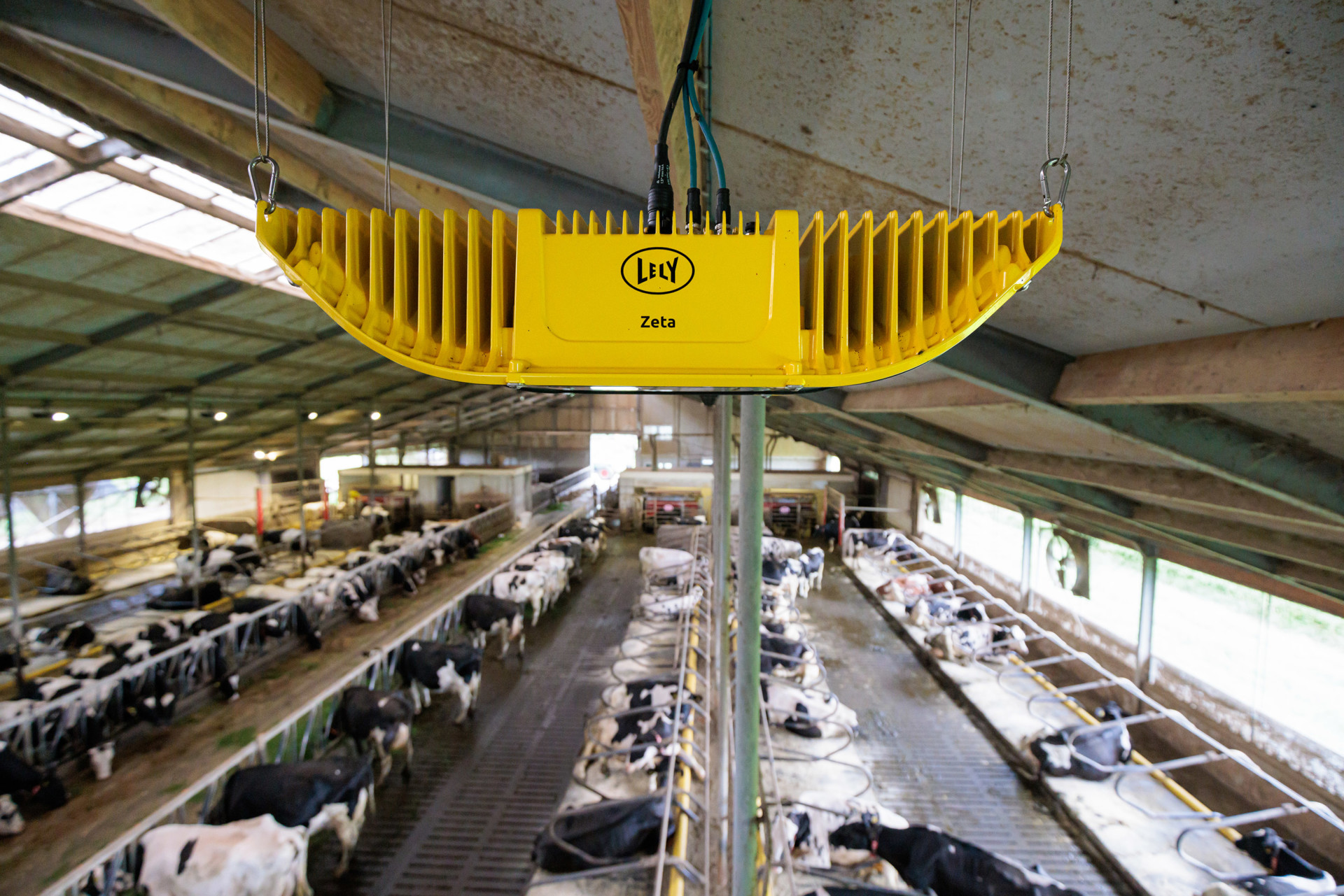 AI-revolutie in de stal: Lely Zeta waakt dag en nacht over koeien