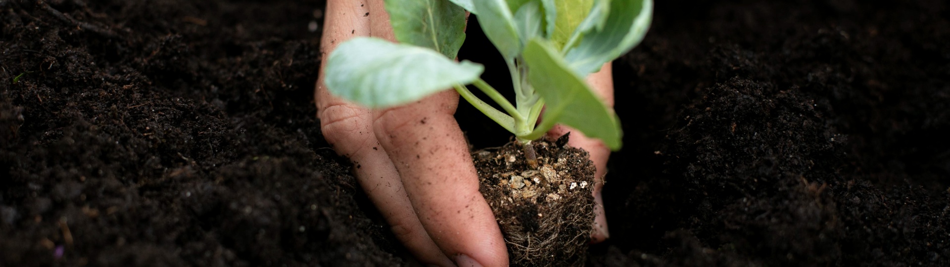 Den Ouden GrowSolutions – Dutch Pork Expo