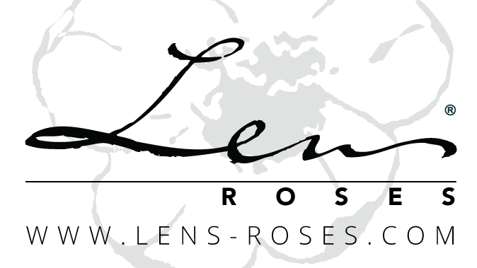 Lens Roses – Open Spaces