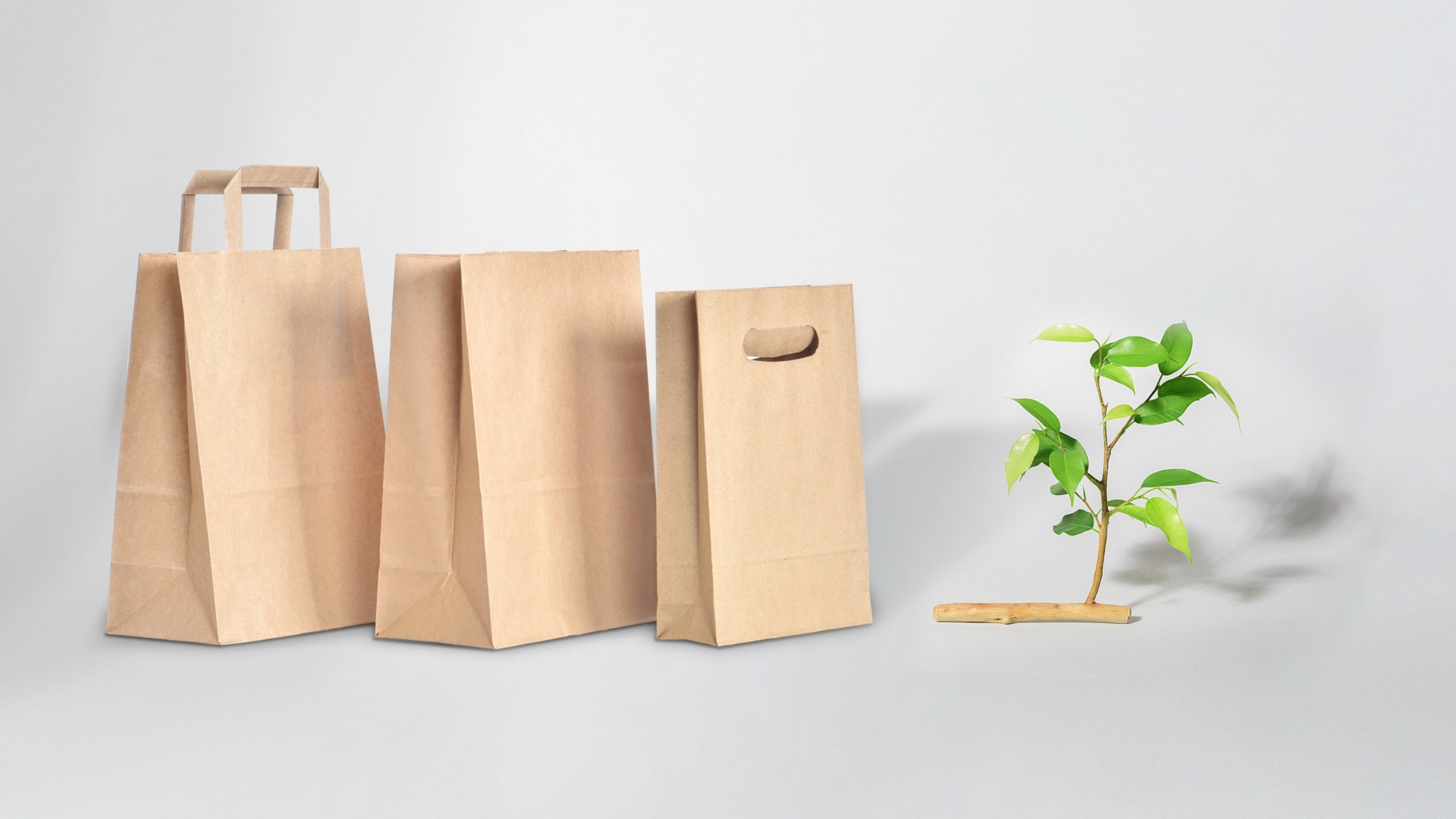 SUPERMARKET PAPER BAG – Packaging Innovations & Empack NEC