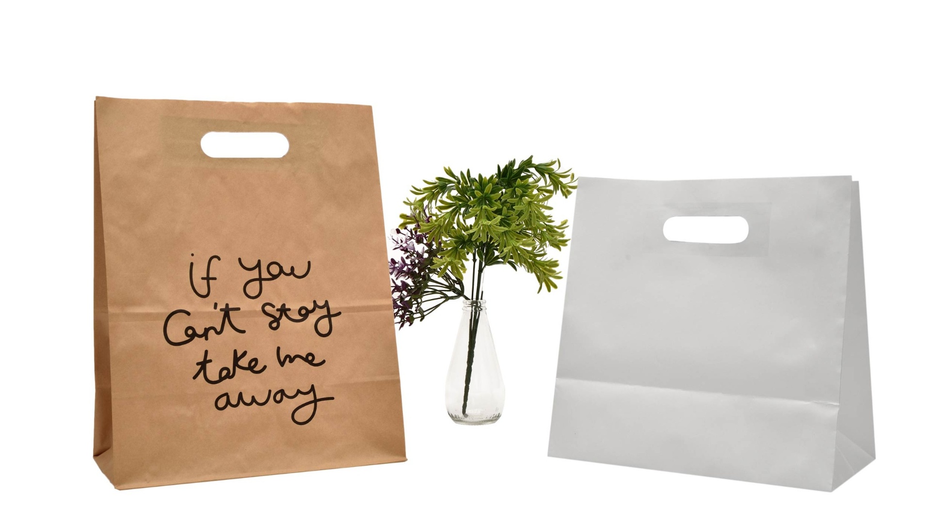 TWISTED HANDLE PAPER BAG – Packaging Innovations & Empack NEC