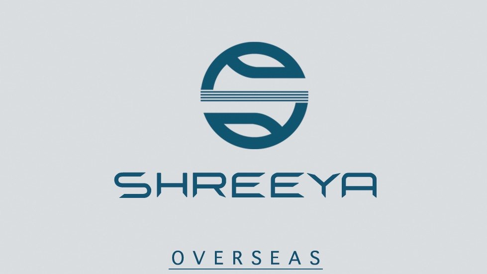 TWISTED HANDLE PAPER BAGS – Packaging Innovations & Empack NEC