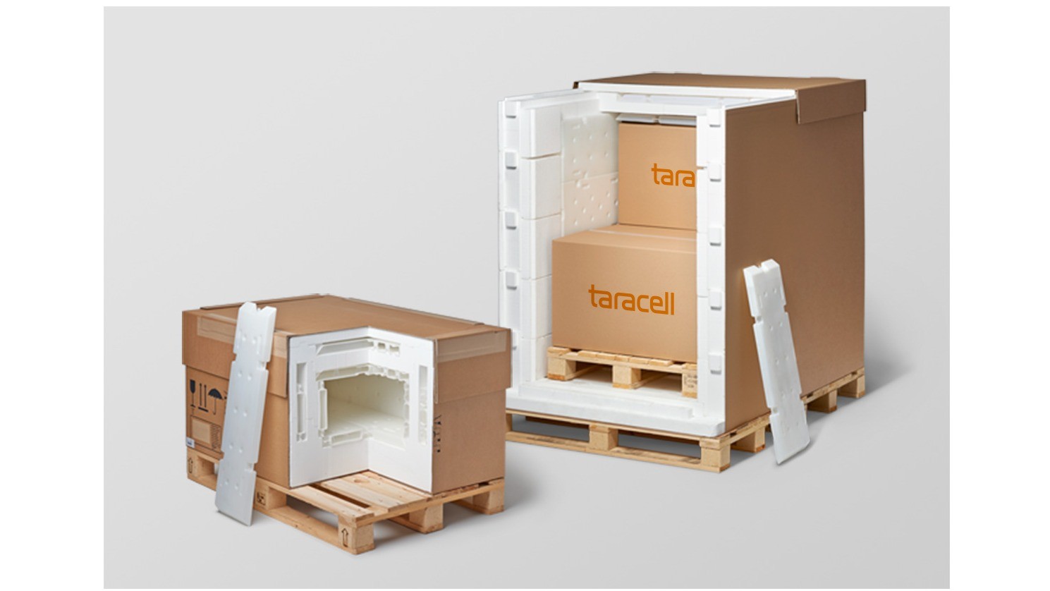 Taracell Cold Chain Container – LOGISTICS & AUTOMATION